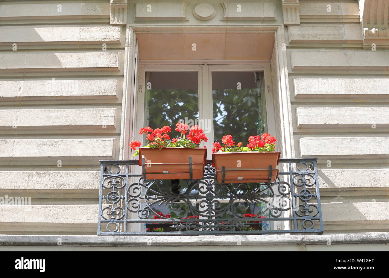 Flower pot window box Paris France Stock Photo - Alamy