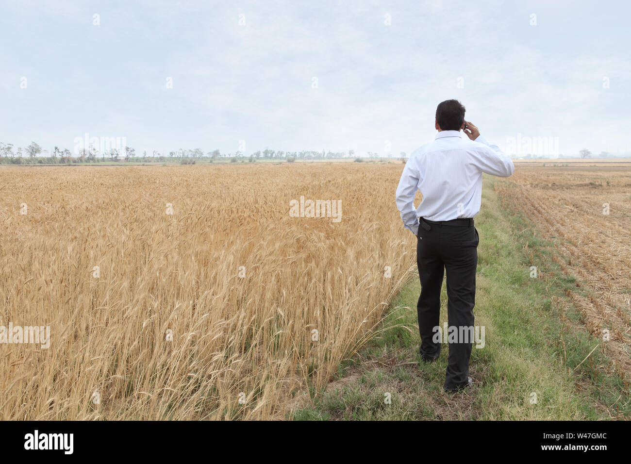 Rural indian man in office hi-res stock photography and images - Alamy