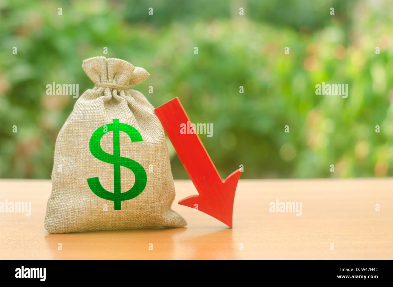 Money bag with dollar symbol and red arrow down. Reduced profits and ...