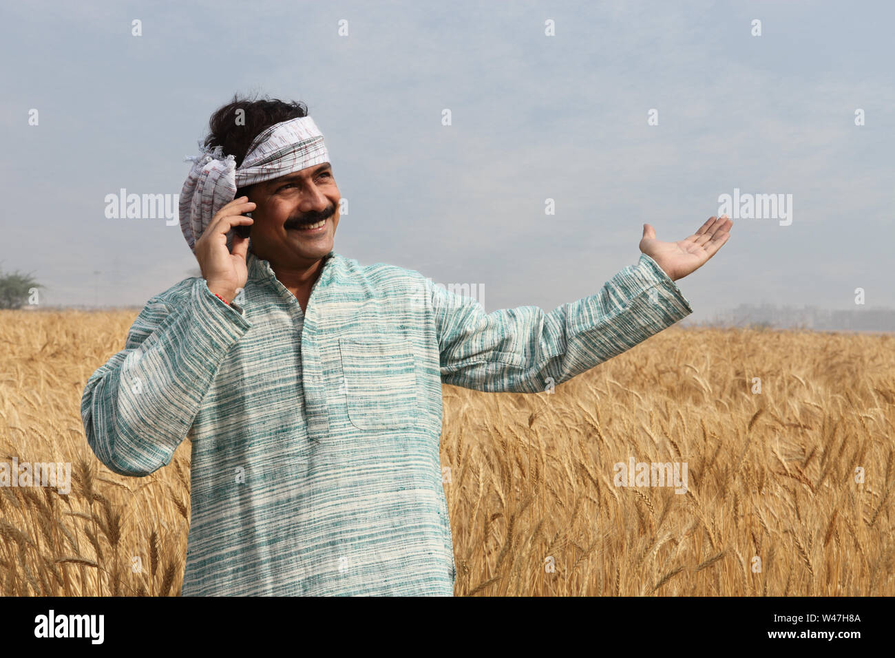 Farmer talking on a mobile phone and showing his crop in a field Stock ...