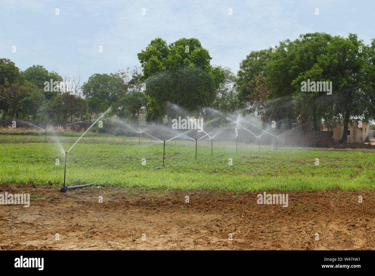 Sprinklers spraying water in ploughed field Stock Photo - Alamy