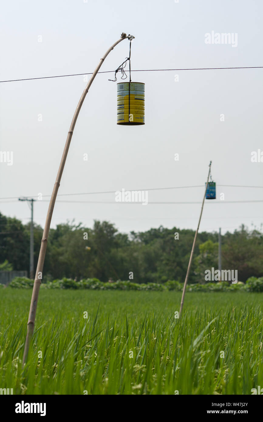 Hualien, Taiwan. 18th Oct, 2009. Methods of scaring birds away from ...