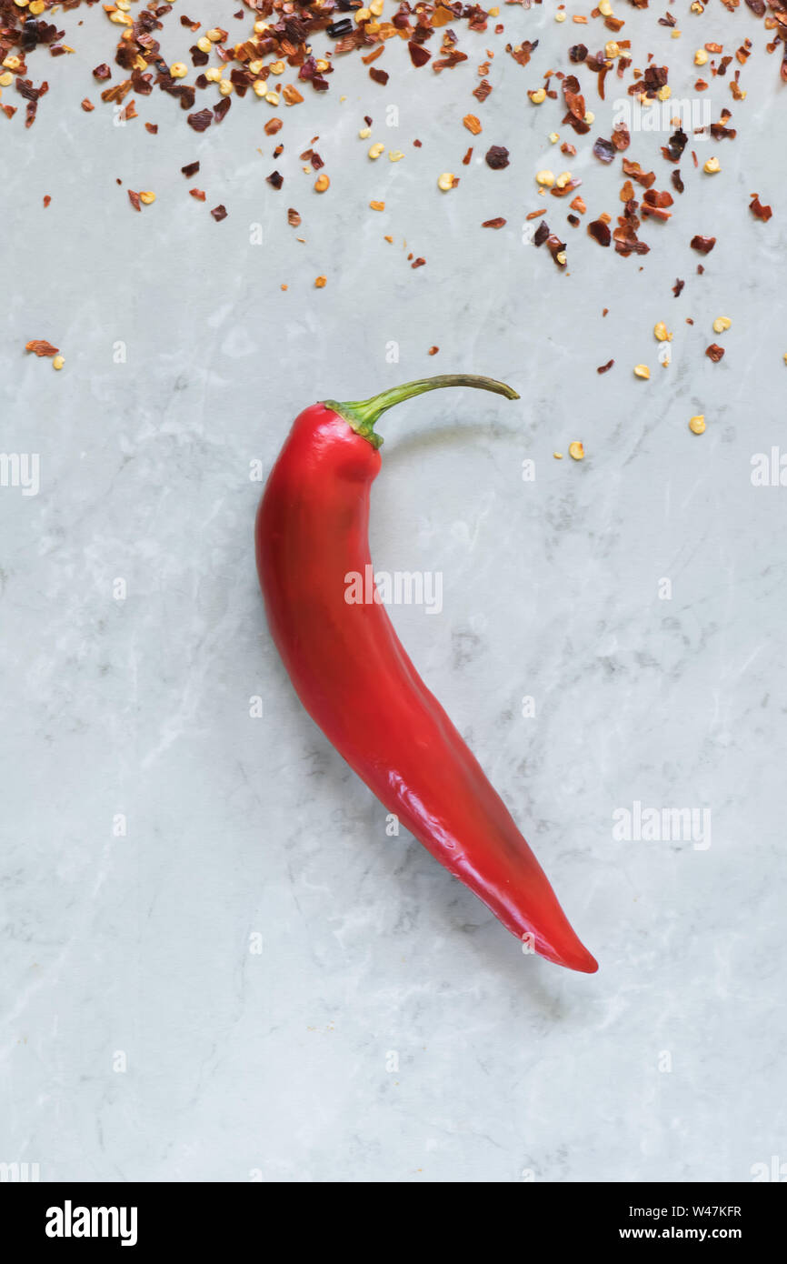 One hot chili pepper on grey marble background. use for arabic sauce ...