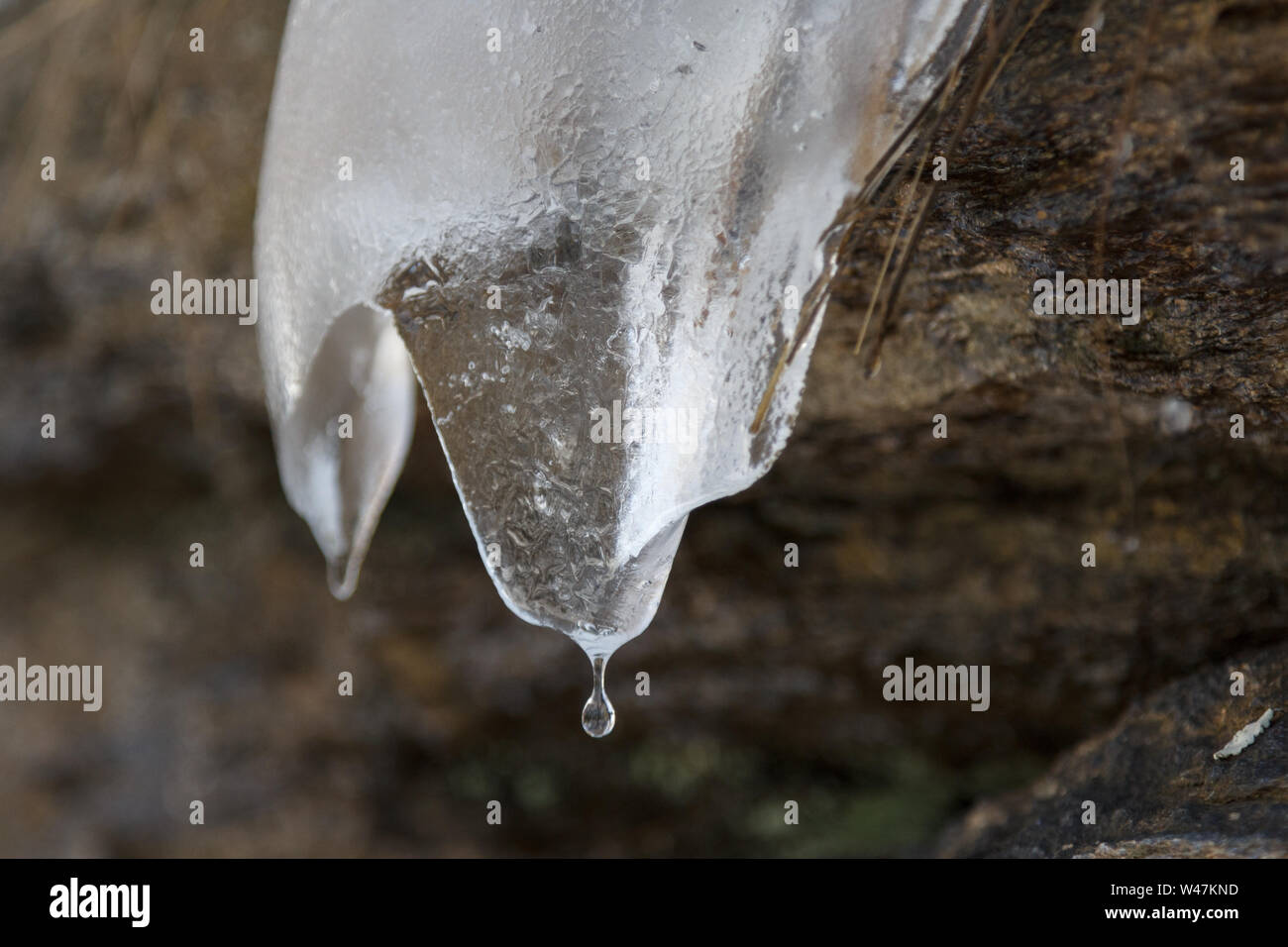 Melting ice in the winter sun Stock Photo - Alamy