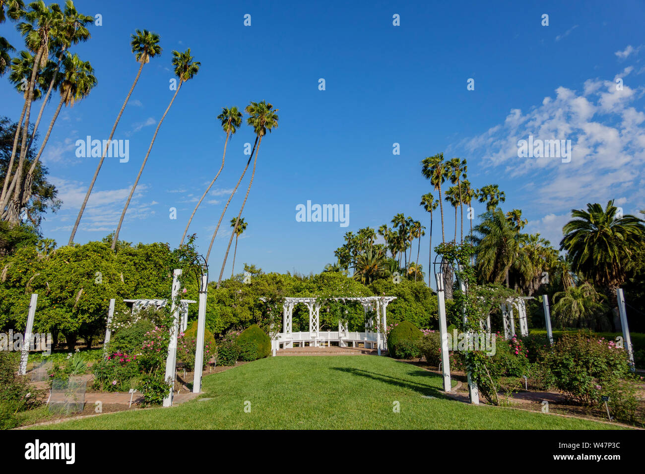 Beautiful nature scene of a park at Los Angeles, California Stock Photo ...