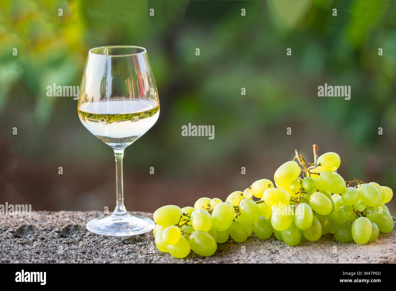 Muscadet grapes hi-res stock photography and images - Alamy