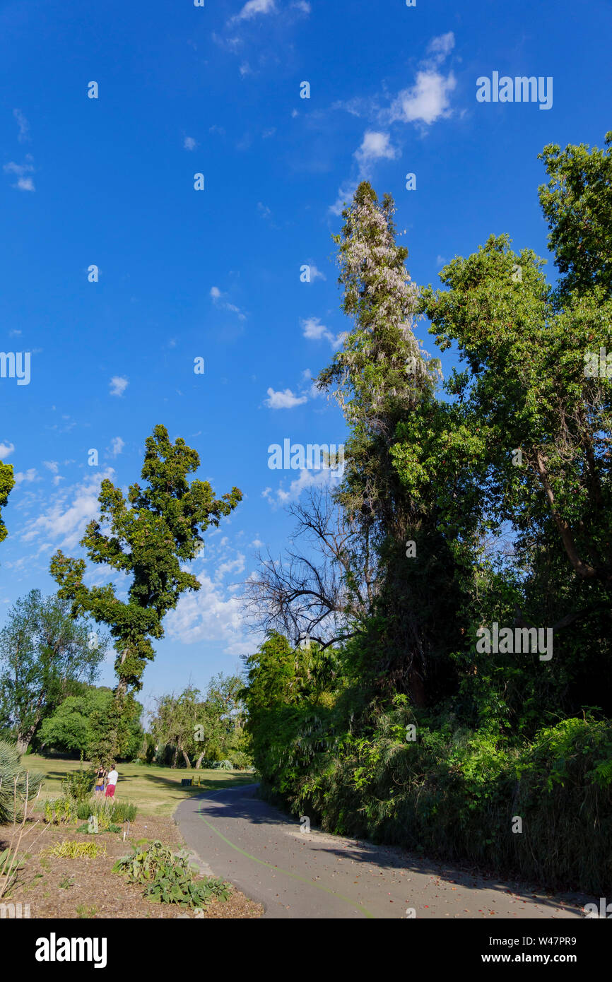 Beautiful nature scene of a park at Los Angeles, California Stock Photo ...