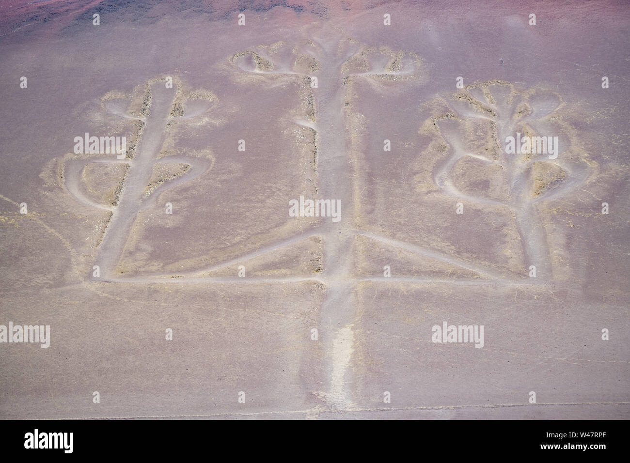 Paracas Candelabra Geoglyph in Southern Peru Stock Photo - Alamy