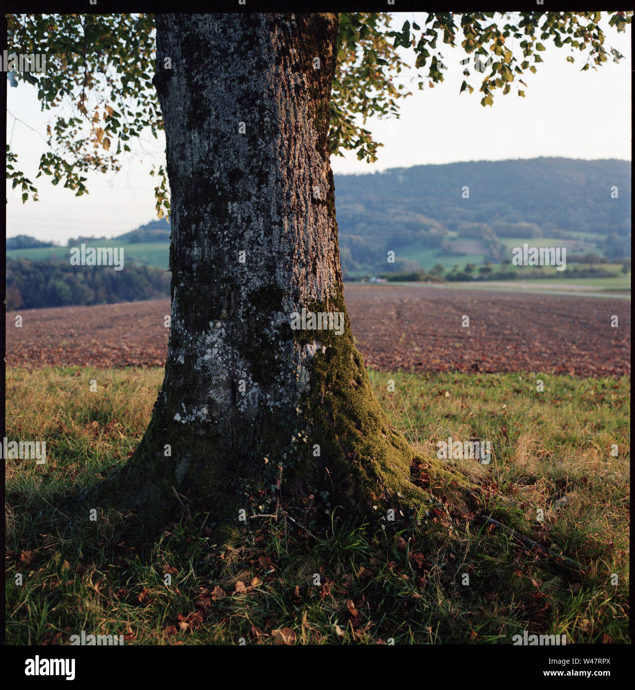 Analogue film photography hi-res stock photography and images - Alamy