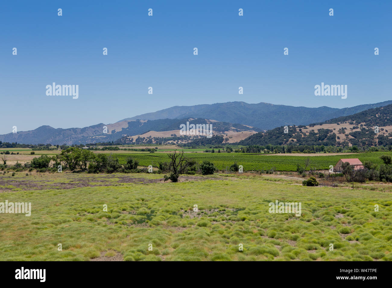 Landscape view of the Santa Ynez Valley in Santa Barbara County ...