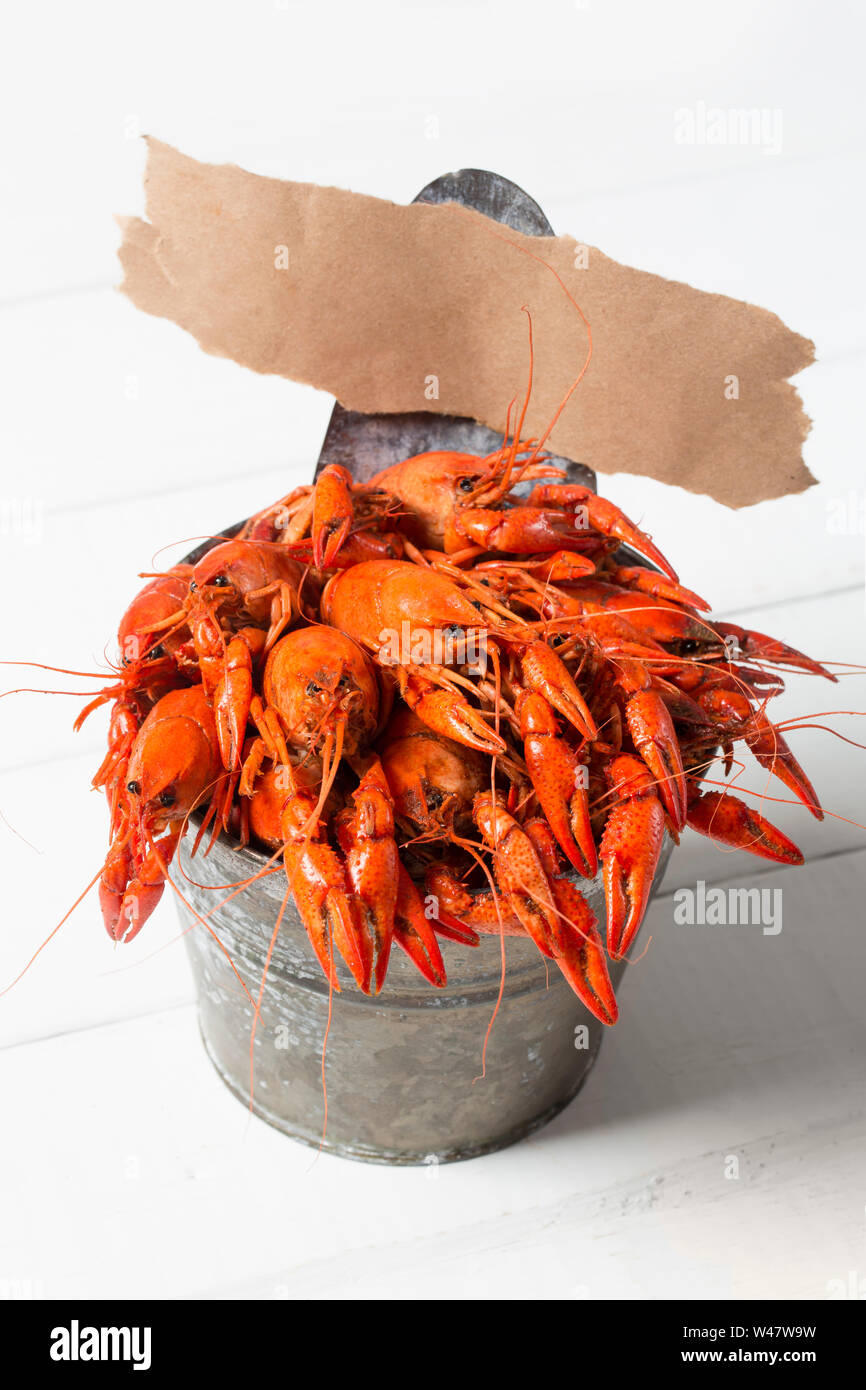 Crawfish in a Bucket with Blank Copy Space Stock Photo - Alamy