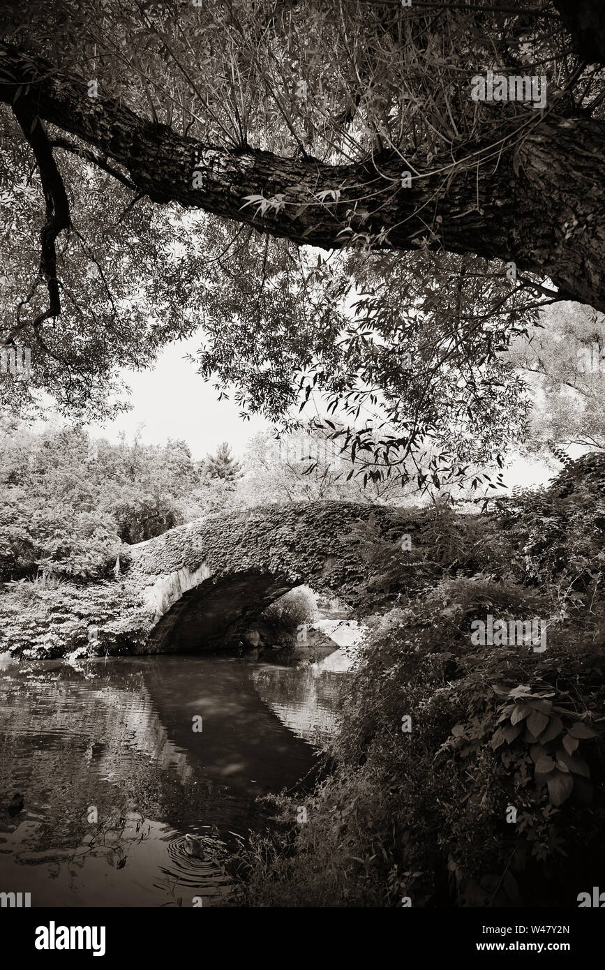 Central Park Spring with bridge in midtown Manhattan New York City ...