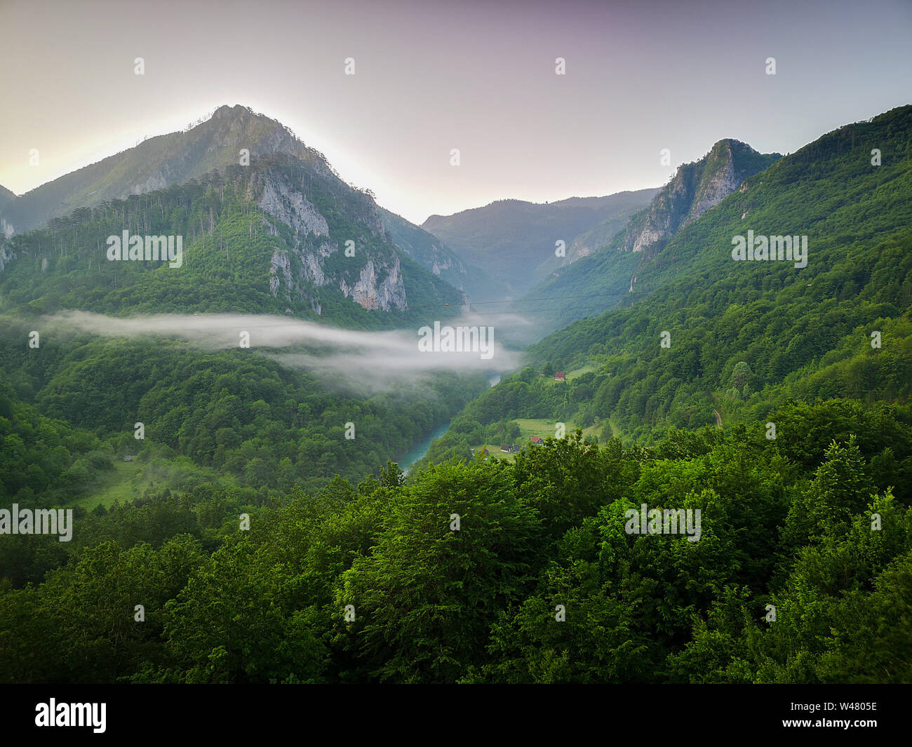 Montenegro, Sinjajevina, Tara Valley at morning time Stock Photo - Alamy