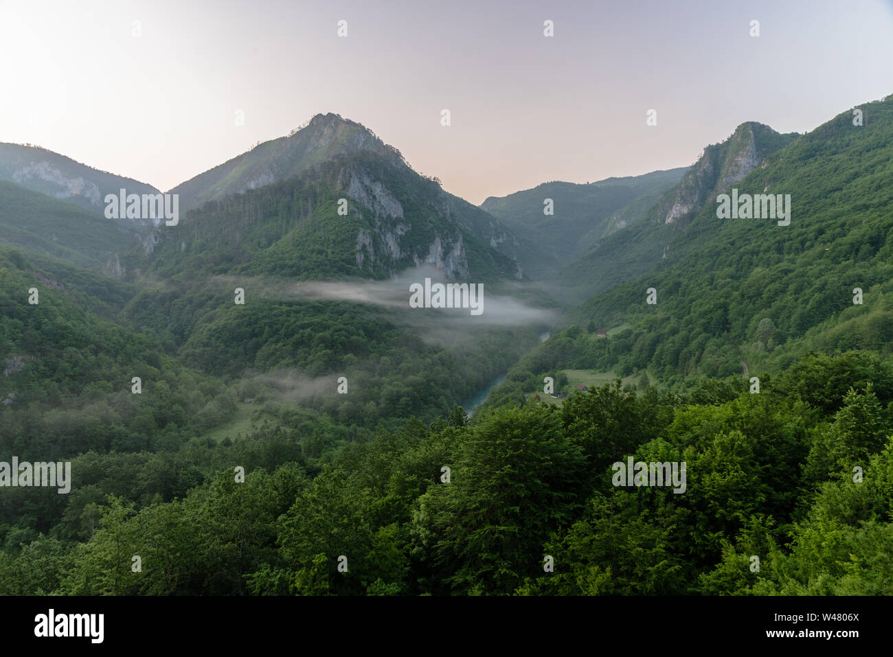 Montenegro, Sinjajevina, Tara Valley at morning time Stock Photo - Alamy