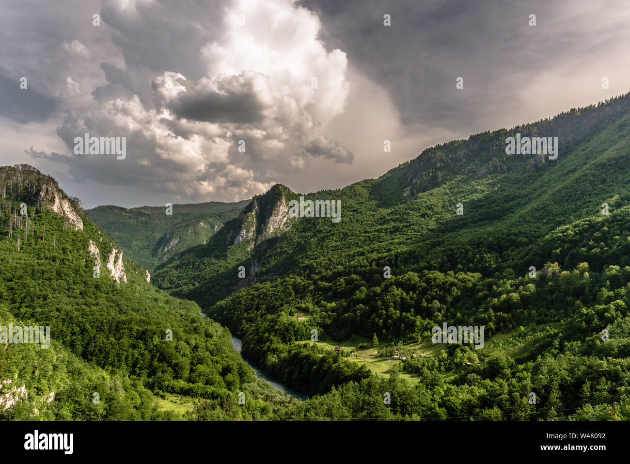 Montenegro, Sinjajevina, Tara Valley at morning time Stock Photo - Alamy