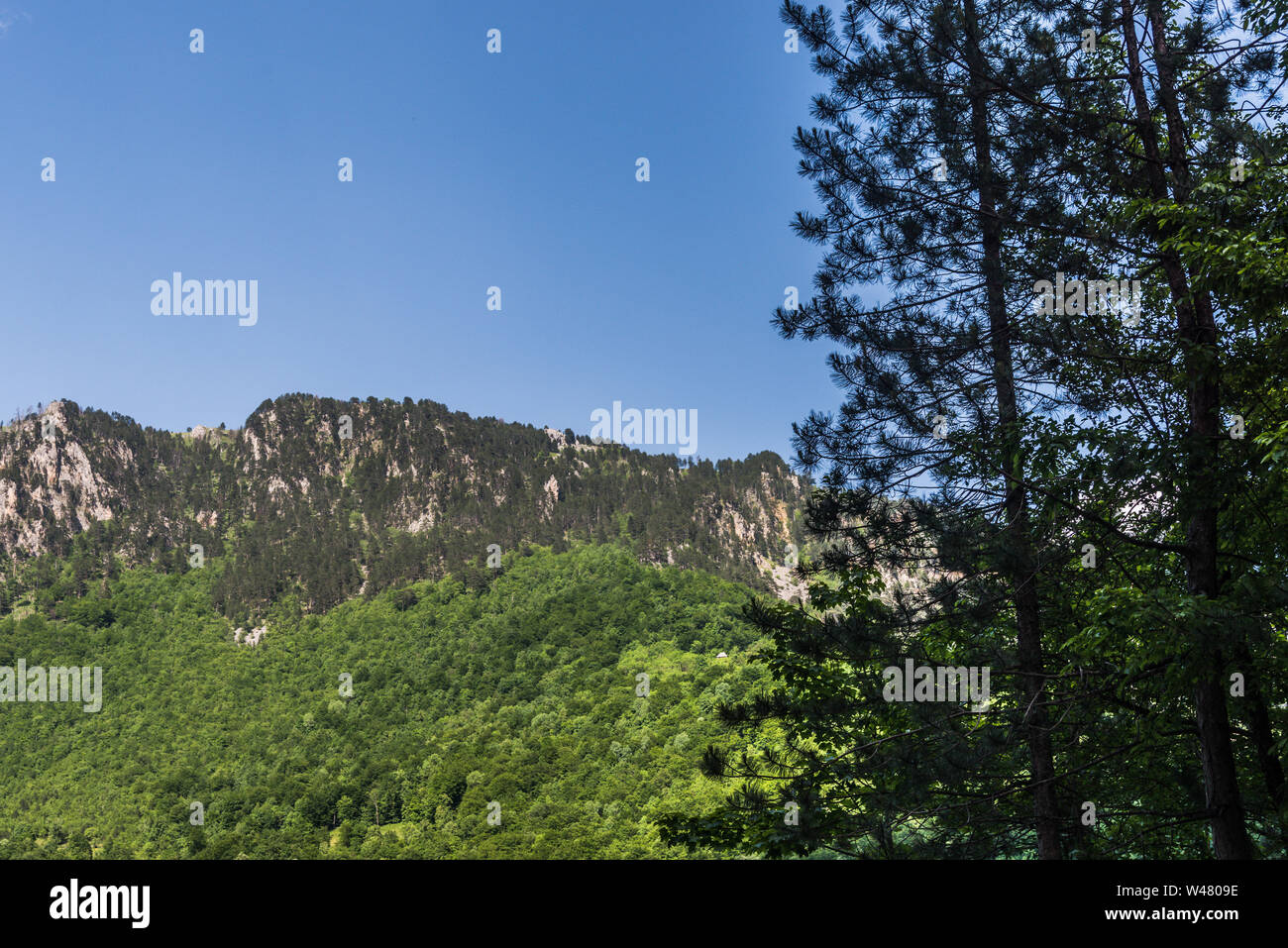 Montenegro, Sinjajevina, Tara Valley at morning time Stock Photo - Alamy