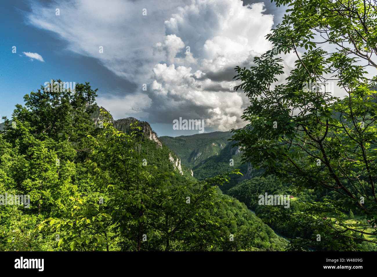 Montenegro, Sinjajevina, Tara Valley at morning time Stock Photo - Alamy