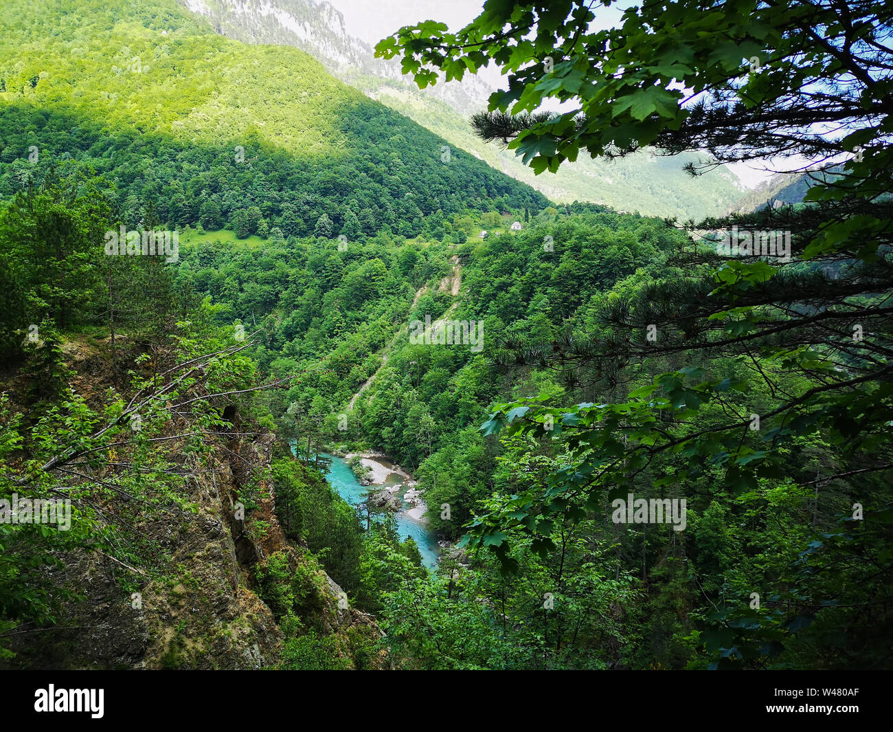 Montenegro, Sinjajevina, Tara Valley at morning time Stock Photo - Alamy