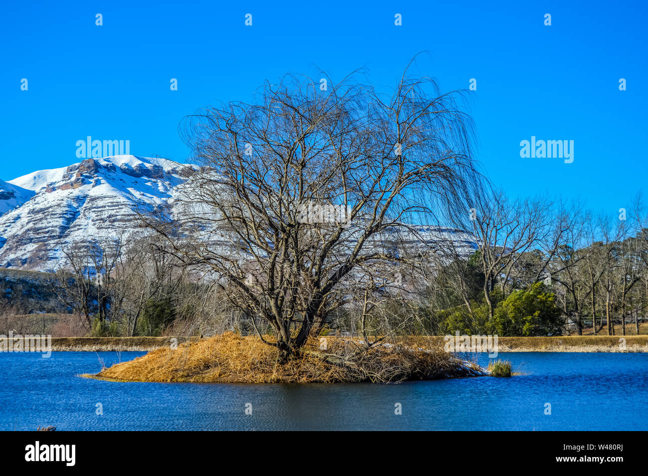 Picture perfect snow capped Drakensberg mountains and green plains in ...