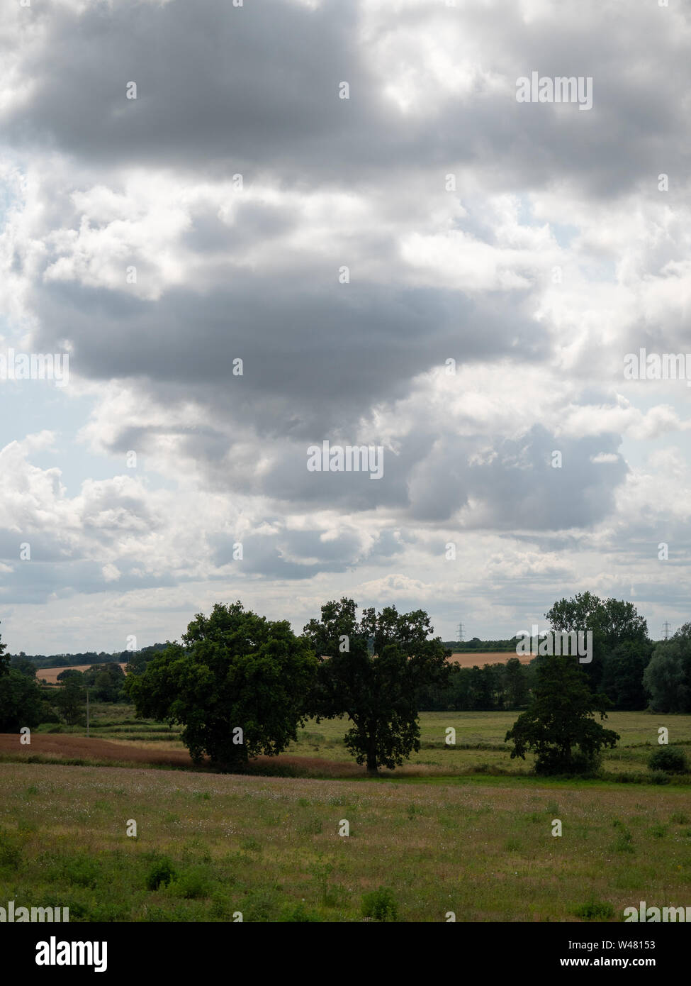 Norfolk country side near Stoke Holy Cross Stock Photo - Alamy