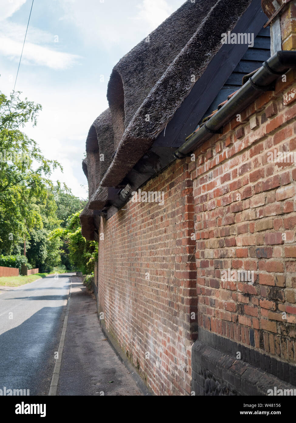 The side of a thatched cottage in Stoke Holy Cross, Norfolk Stock Photo ...
