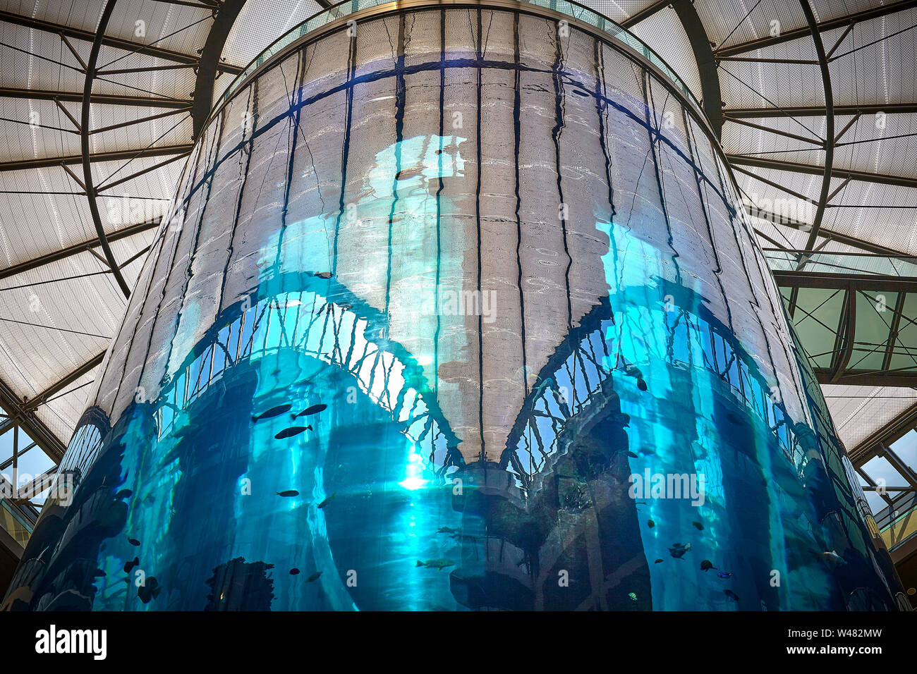 Aquarium High Resolution Stock Photography and Images - Alamy