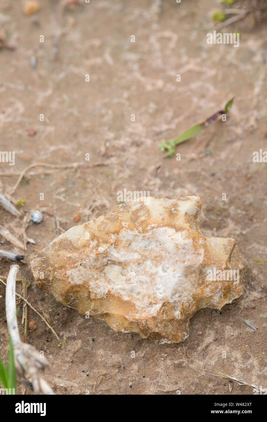 Stone arrowhead projectile point hi-res stock photography and images ...