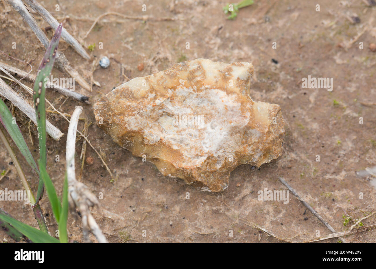 Native american artifacts arrowhead hi-res stock photography and images ...