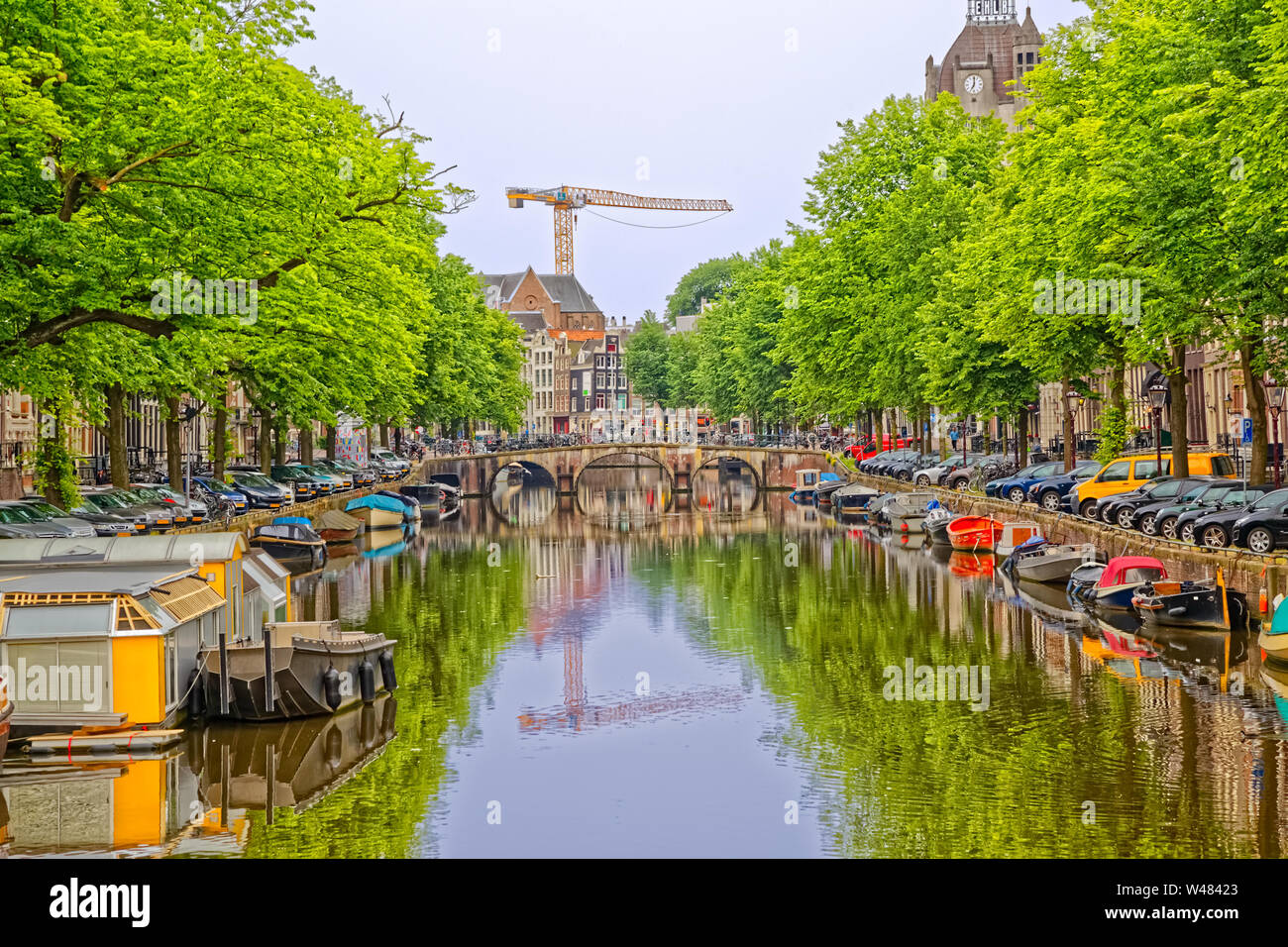 Amsterdam green trees reflection in river canal Stock Photo - Alamy