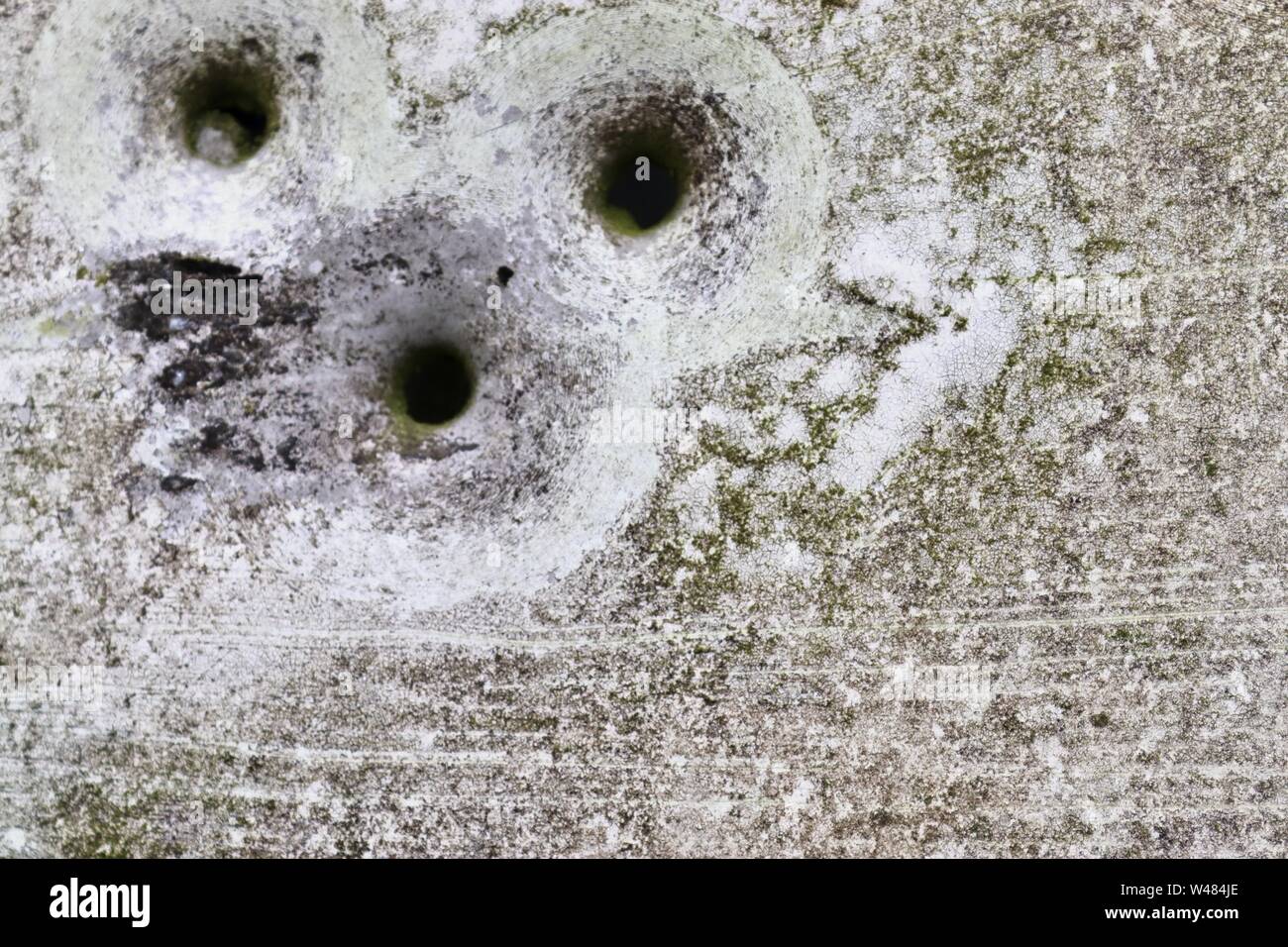 Bullet holes from gun shooting exercises in a german traffic sign Stock ...