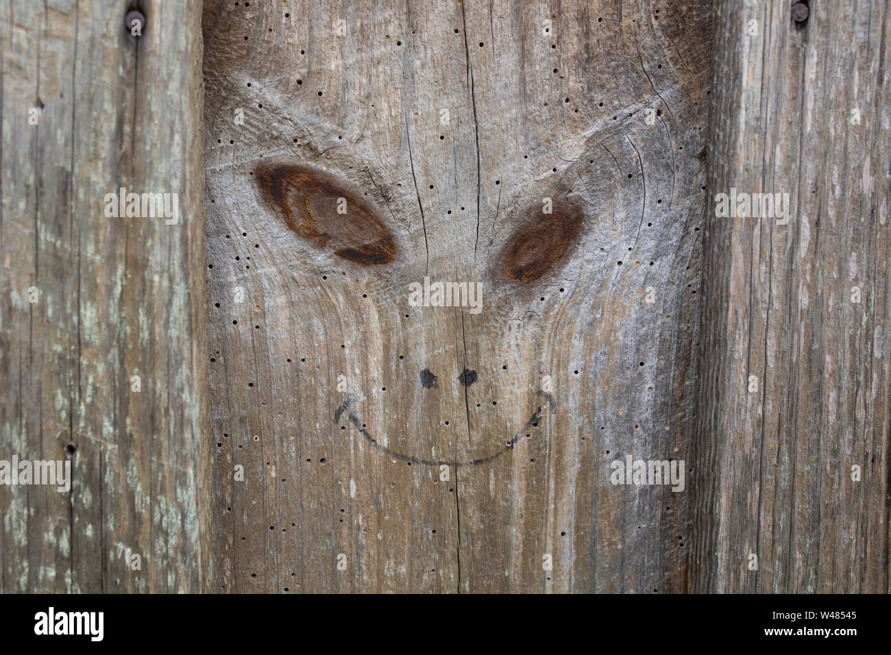 Creepy Face in Wood Grain Stock Photo - Alamy
