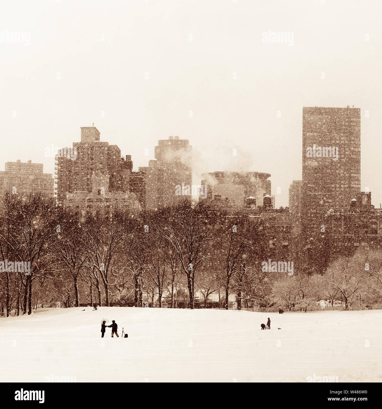 Central Park winter in snow with skyscrapers in midtown Manhattan New York City Stock Photo - Alamy