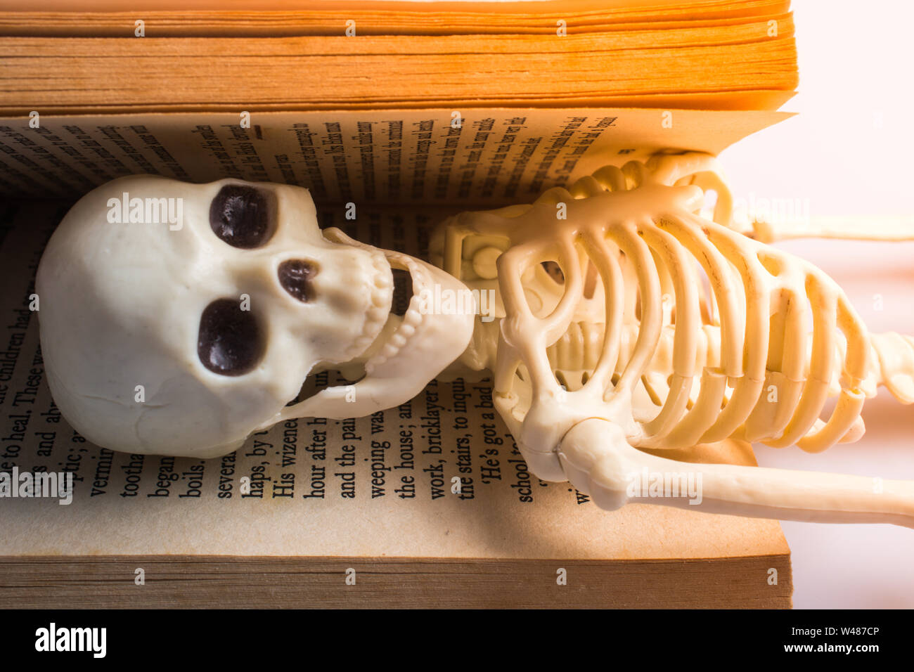 Model of artificial Human Skeleton in a book with text Stock Photo - Alamy
