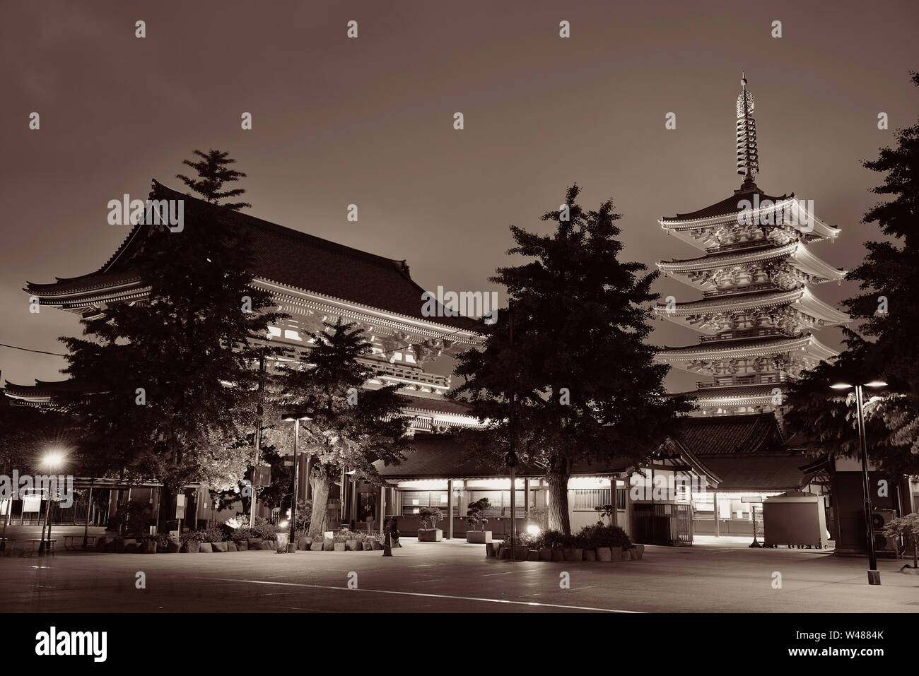 Sensoji Temple in Tokyo Japan at night Stock Photo - Alamy