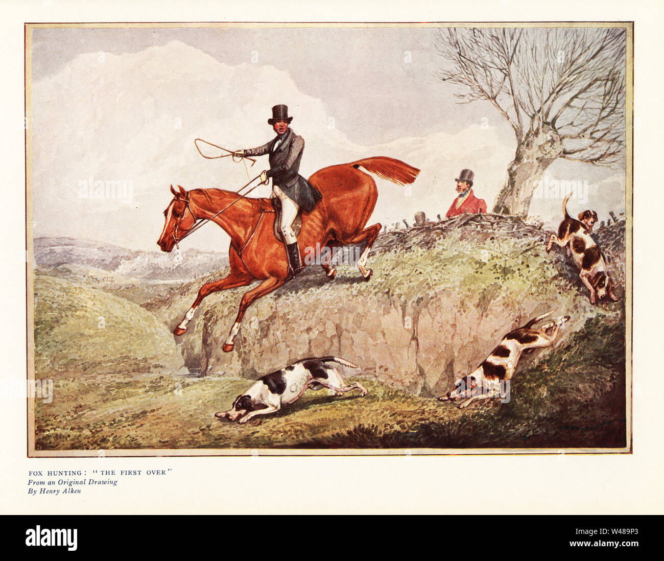 Fox hunting: The first over. Fox hunter in black jacket on horseback ...