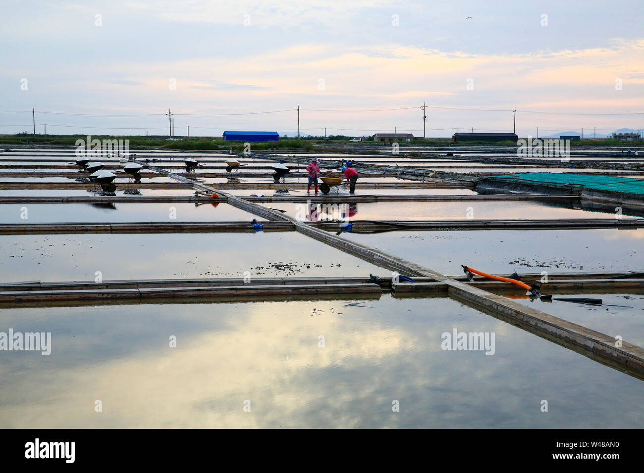 A busy salt farm landscape in the afternoon sundown in a small fishing ...