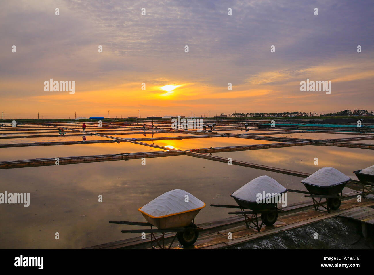 A busy salt farm landscape in the afternoon sundown in a small fishing ...