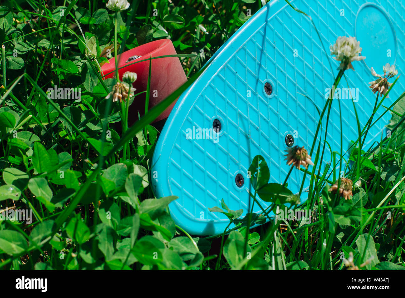 Blue penny board with pink wheels laying on clover field Stock Photo ...