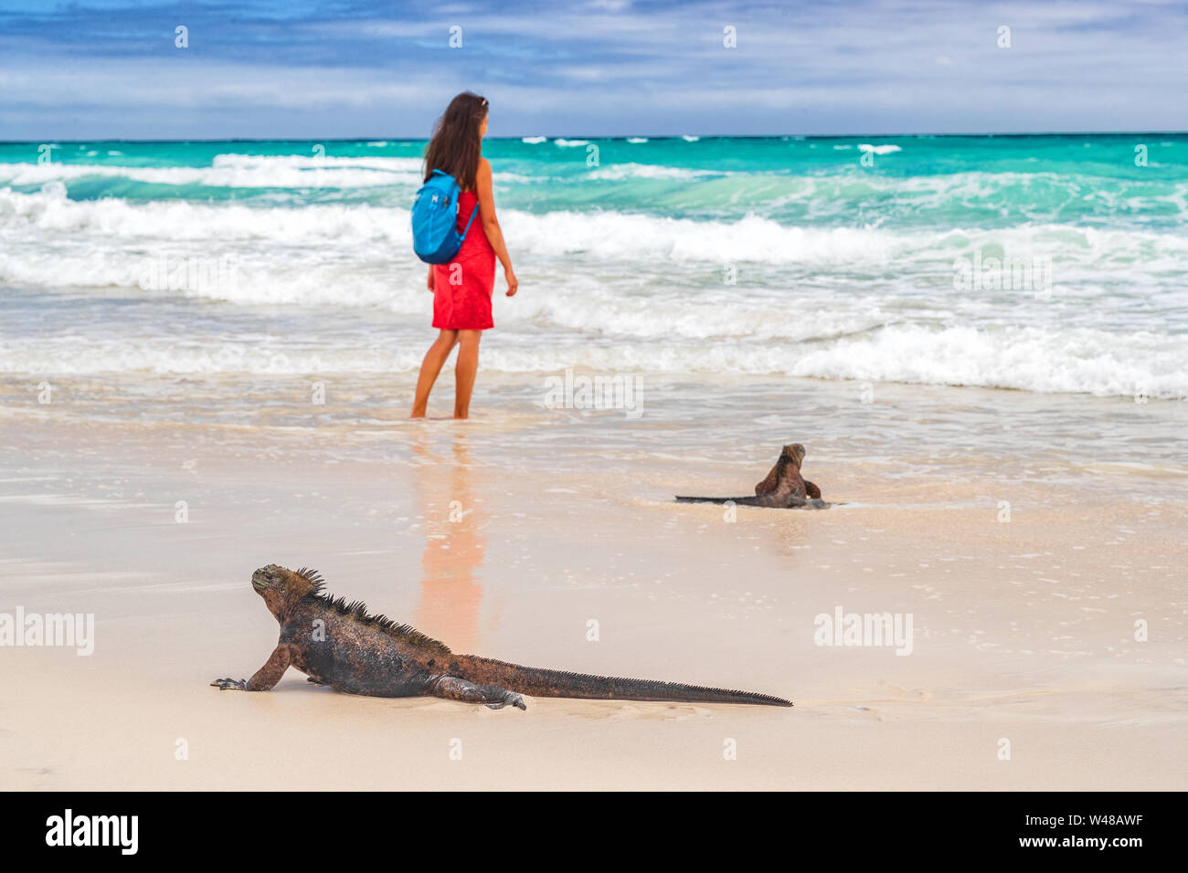 Tortuga bay galapagos hi-res stock photography and images - Alamy