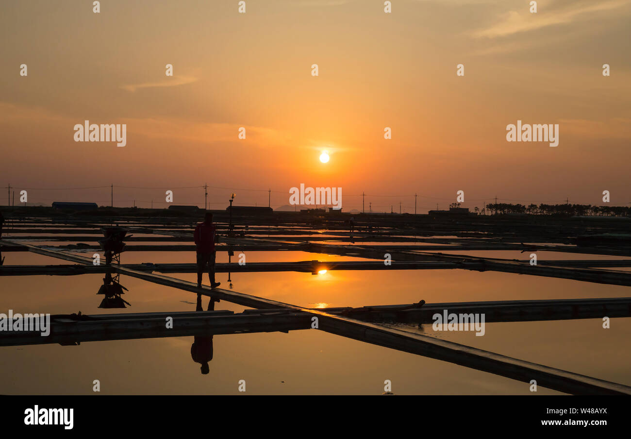 A busy salt farm landscape in the afternoon sundown in a small fishing ...