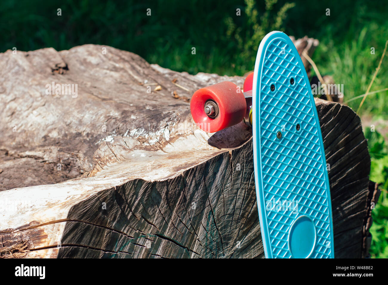 Blue penny board with pink wheels hanging on stump Stock Photo - Alamy
