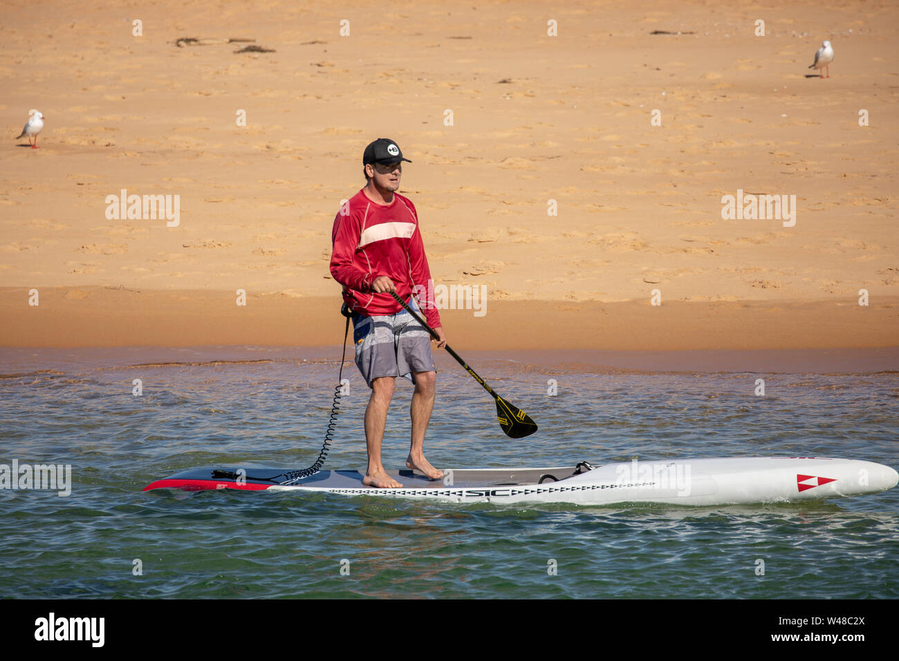 Man paddles his paddle board at narrabeen beach lagoon in Sydney ...