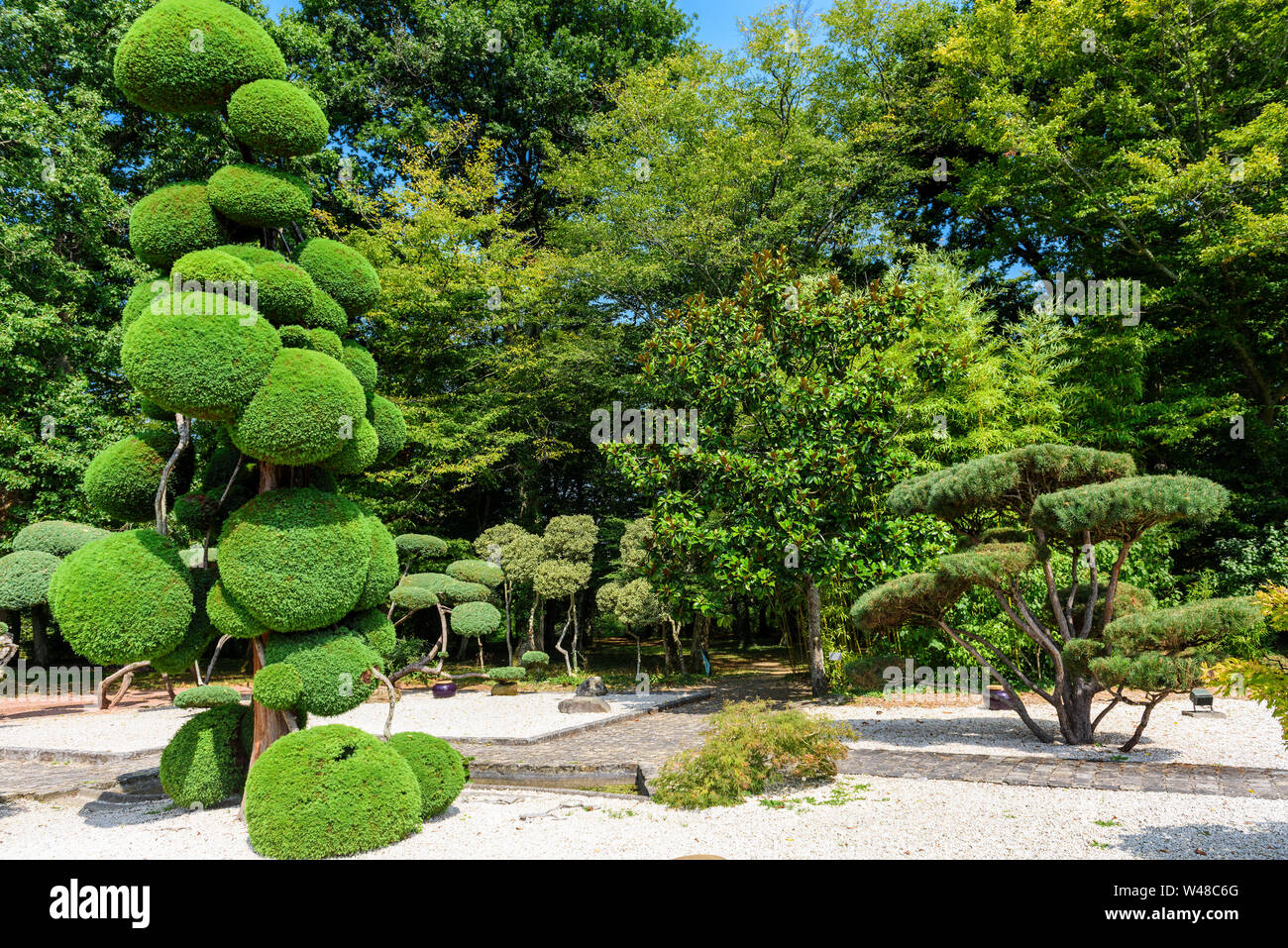 An original trimmed tree in a park stylized as a "Japanese garden Stock ...
