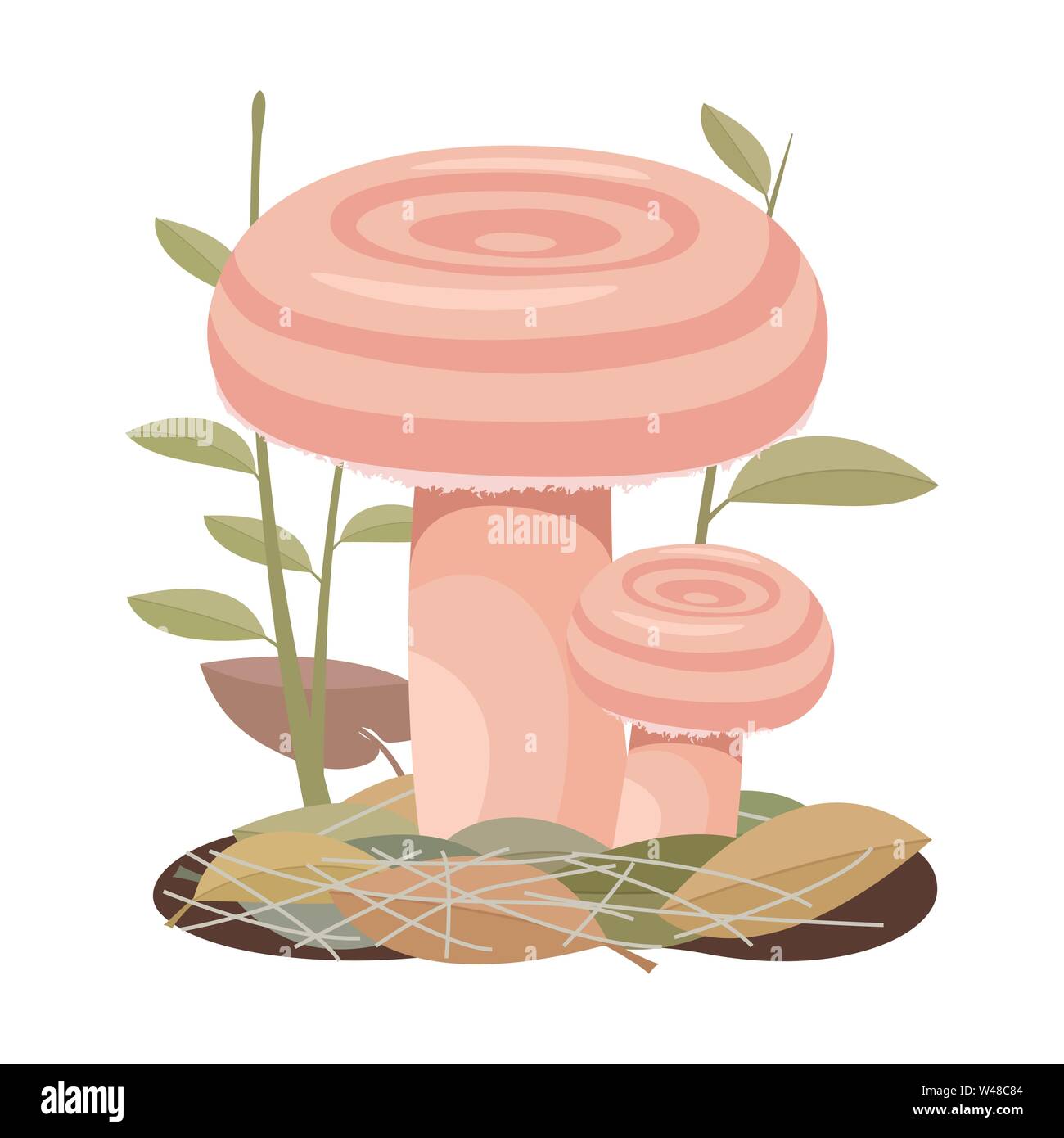 Pink coral fungi Stock Vector Images - Alamy