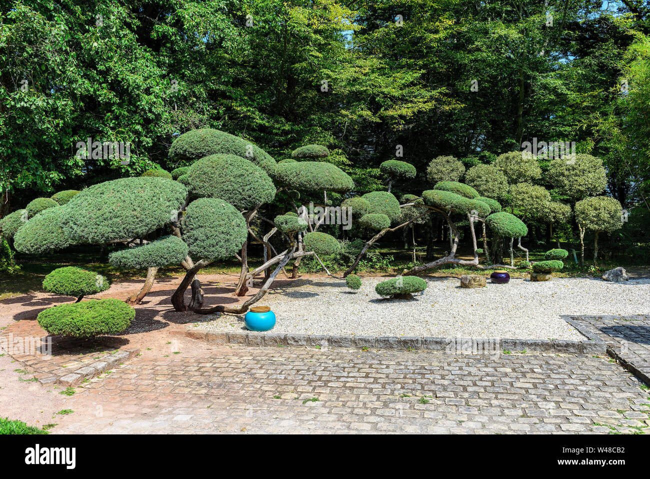An original trimmed tree in a park stylized as a "Japanese garden Stock ...