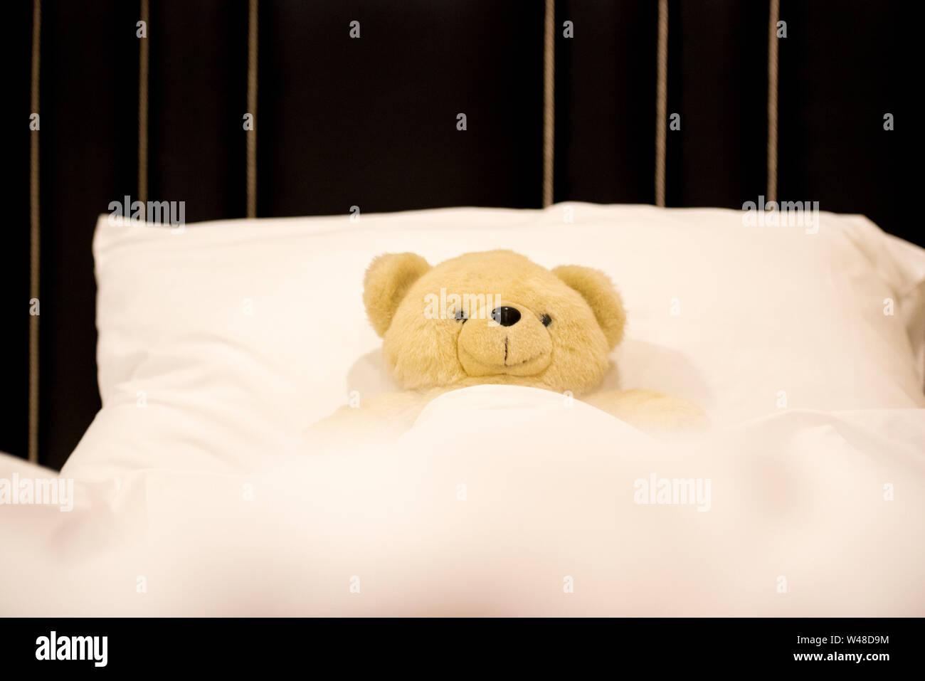 Teddy bear sleeping on bed Stock Photo - Alamy