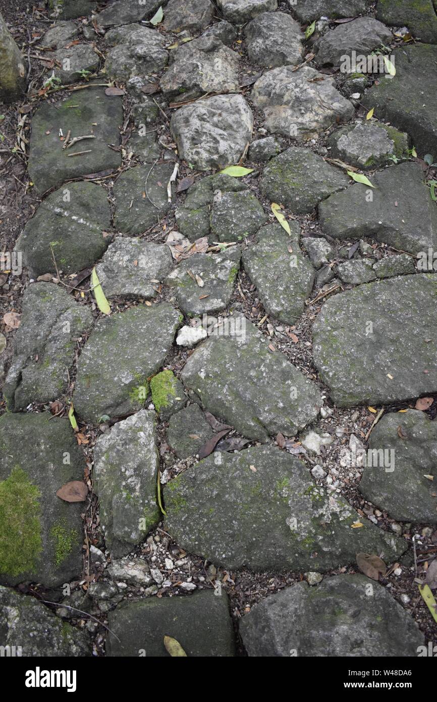 Mossy surface of stone pavement, road in jungle Stock Photo - Alamy