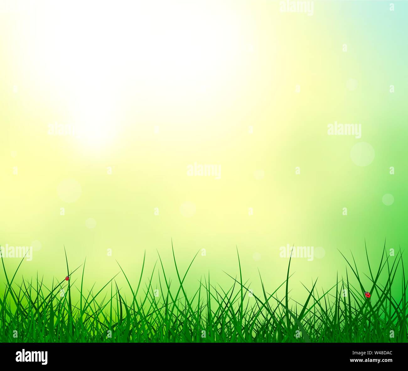 Abstract summer background. Grass on sunshine background. Ladybug on ...