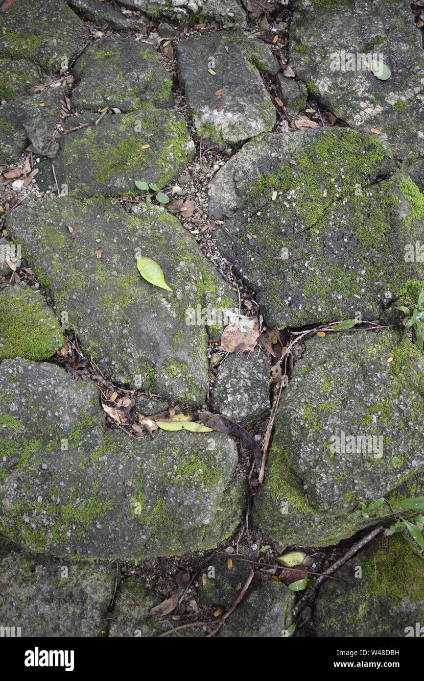 Rough cobblestone pavement moss texture hi-res stock photography and ...