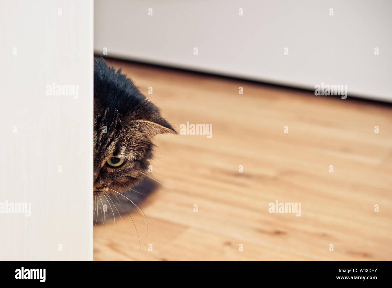Peeking into the wall hi-res stock photography and images - Alamy